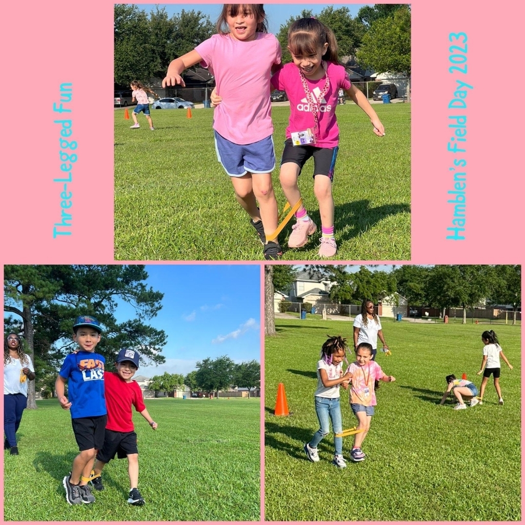 Live Feed | Hamblen Elementary School